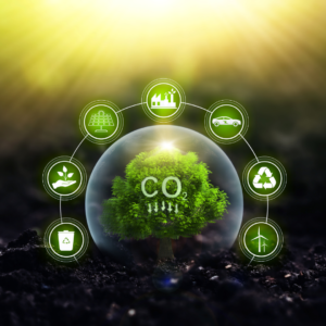 Nexa Group – Your Partner in Sustainable Solutions